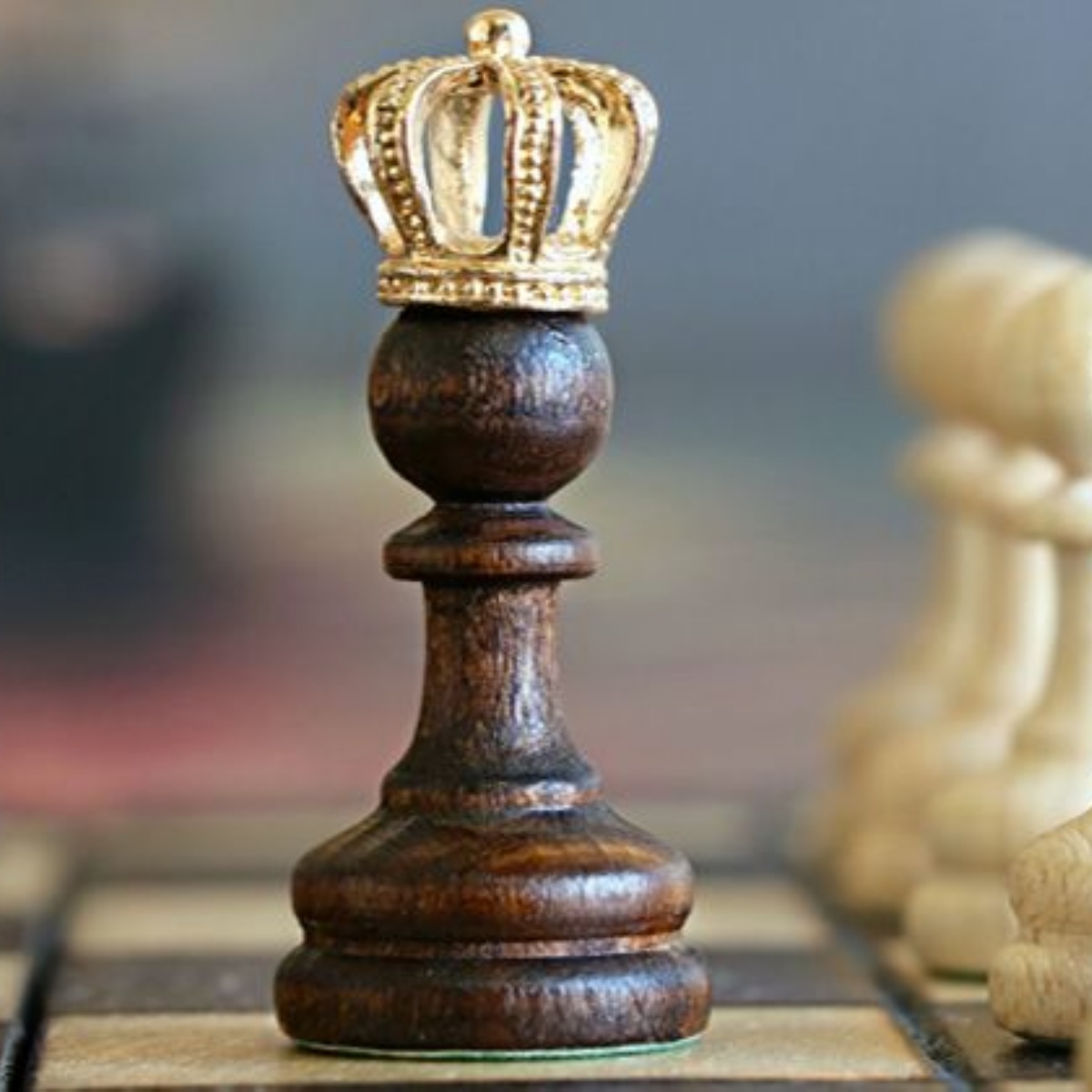 Long Road Sixth Form College - Chess Club Tournament 2023